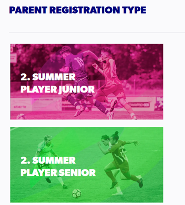 How to create Summer Football Registration Type (Associations) - FNSW ...